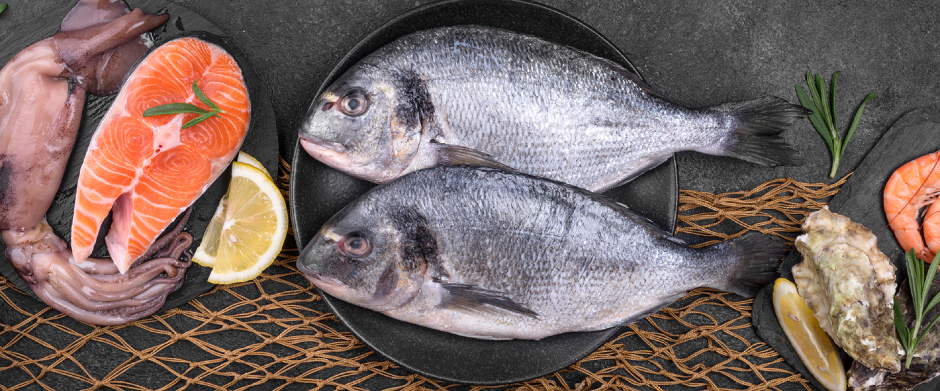 fish international Bremen 2026 Exhibition Info & Hotels Travel2Fair