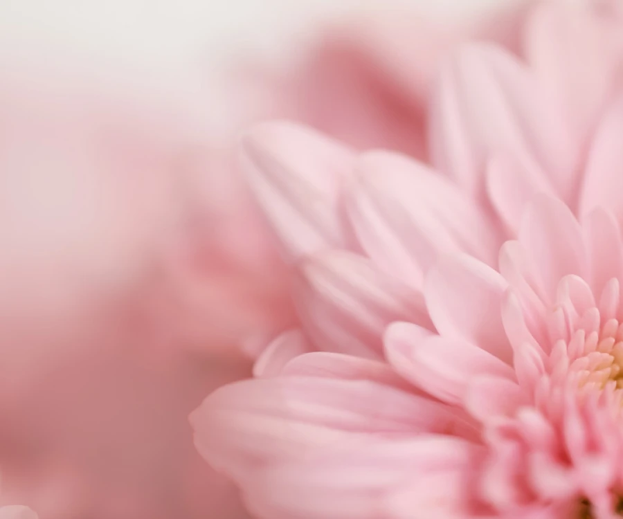 Sandringham Flower Show Info & Hotels Travel2Fair