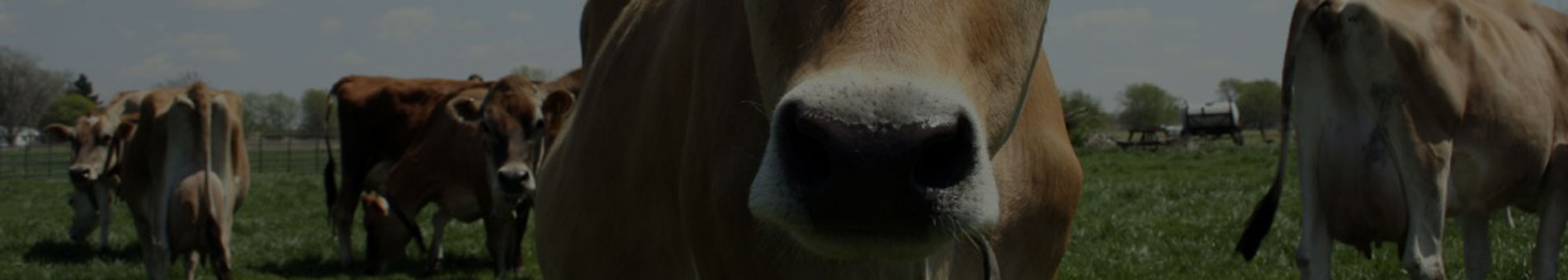 Eurotier Hannover 2016 – A Historic Event For The Animal Production ...