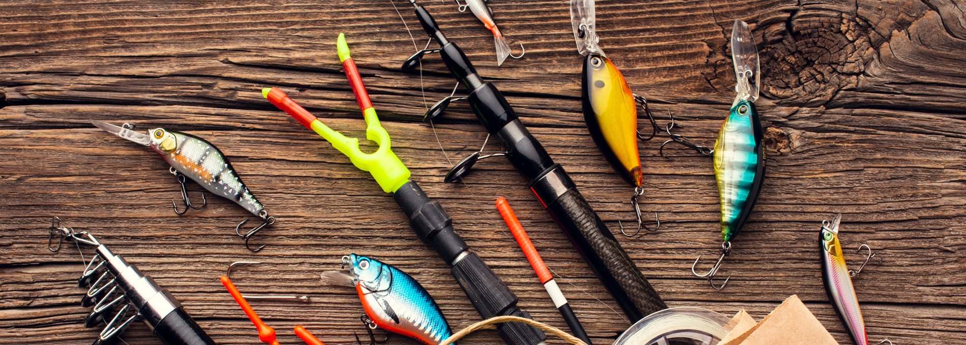 You Should Never Miss Nor-Fishing for These 10 Reasons